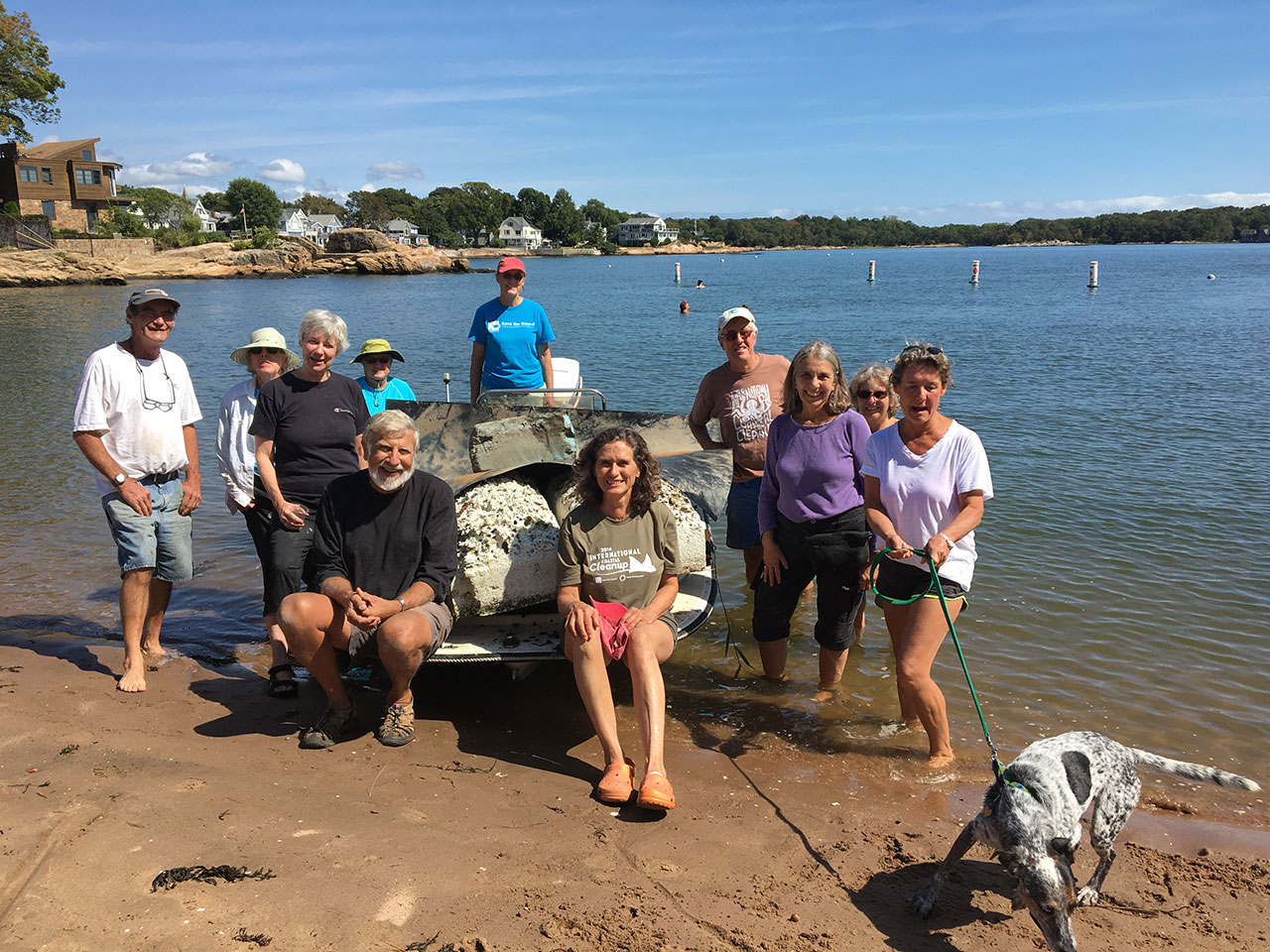 Get Involved – Friends of the Farm River and Estuary